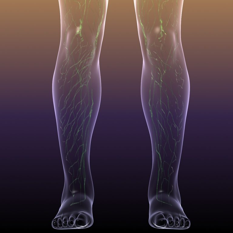 Lymphatic System in Human Body 3D Model - FlatPyramid