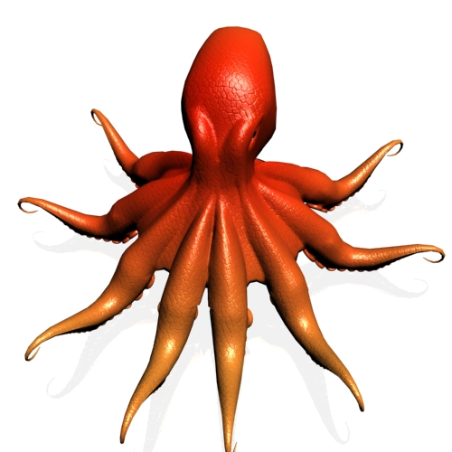 Octopus 3D Model - FlatPyramid