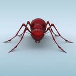 Mechanical Ant 3D Model - FlatPyramid