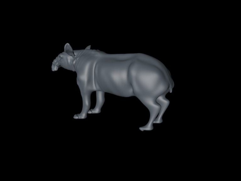 megatapirus 3D Model - FlatPyramid