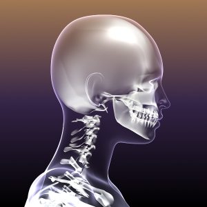 Female Skeleton inside Woman Body 3D Model - FlatPyramid