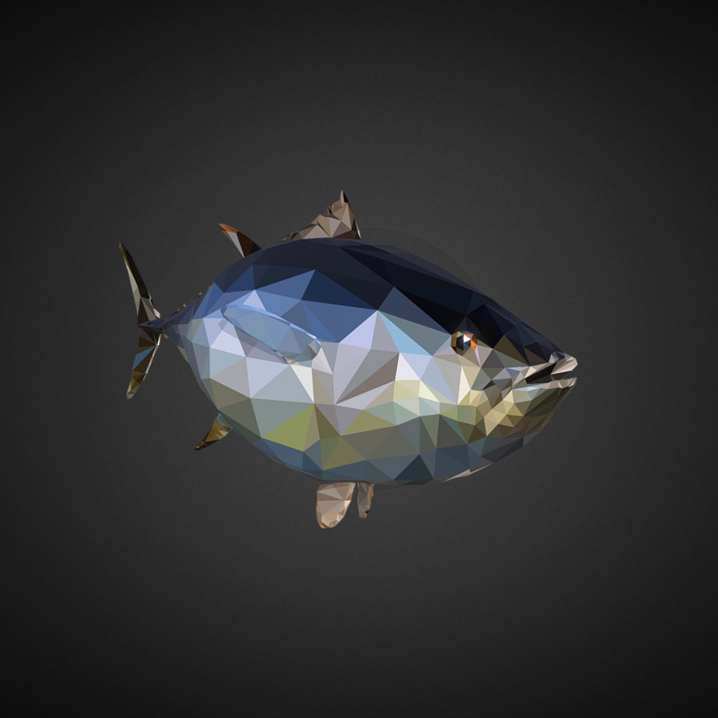 Tuna Low Polygon Art Ocean Fish 3D Model - FlatPyramid