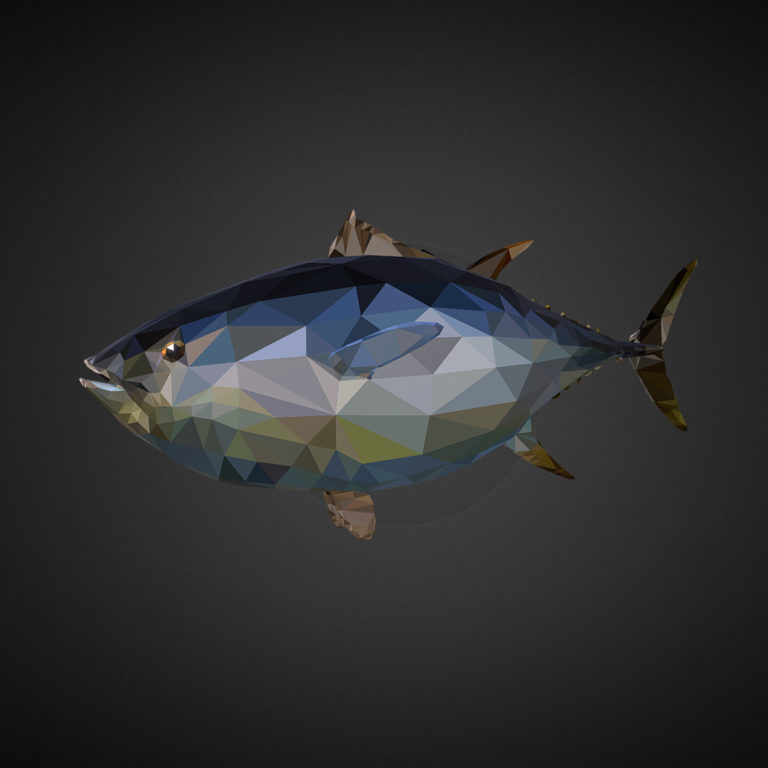 Tuna Low Polygon Art Ocean Fish 3D Model - FlatPyramid
