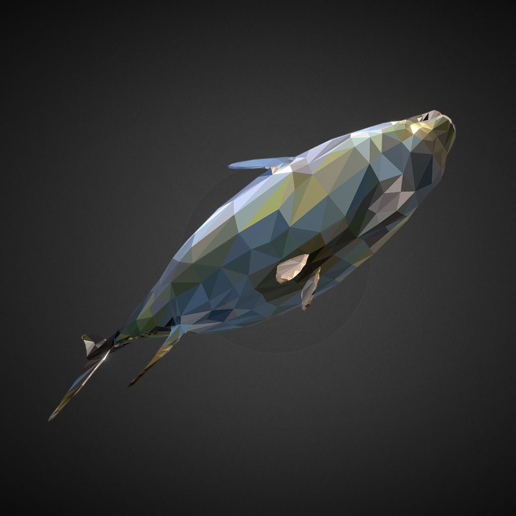 Tuna Low Polygon Art Ocean Fish 3D Model - FlatPyramid