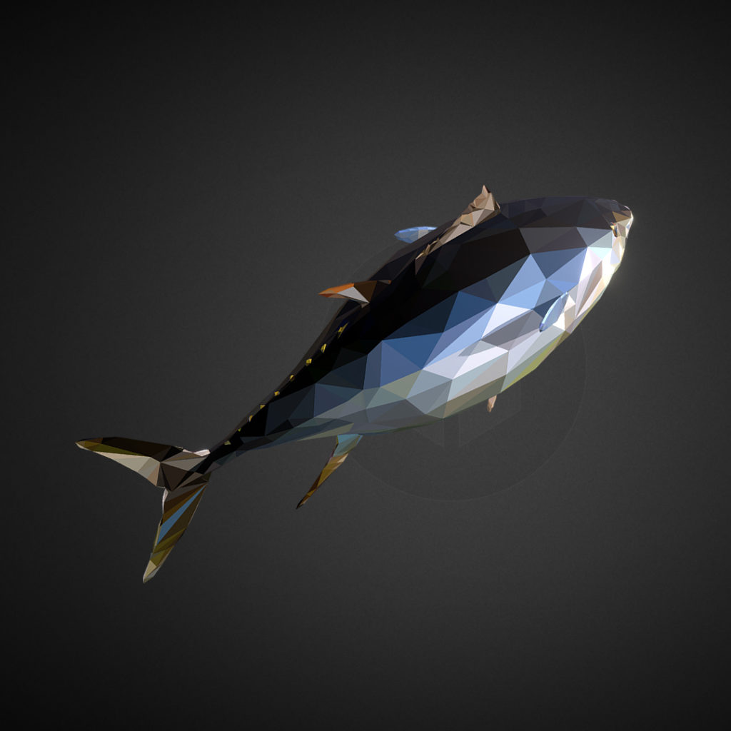 Tuna Low Polygon Art Ocean Fish 3D Model - FlatPyramid