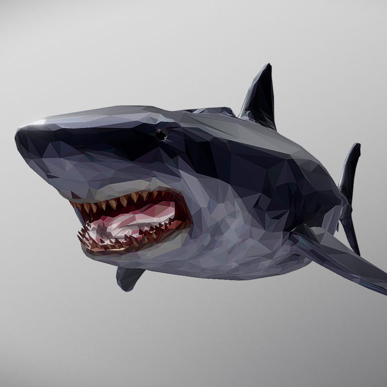Dark Shark Low Polygon 3D Model - FlatPyramid