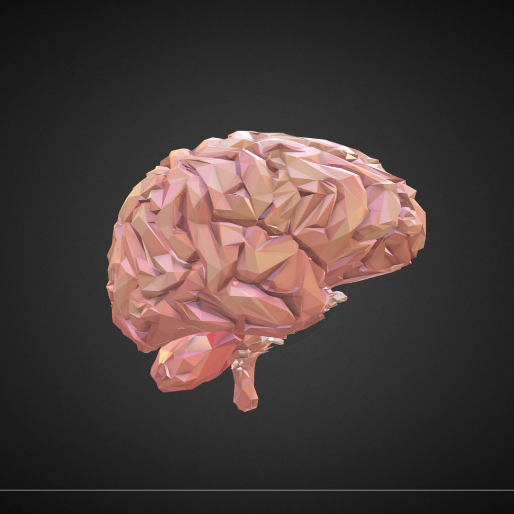 Brain 3D Model Free - FlatPyramid