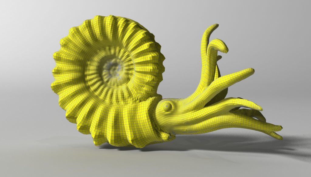 Ammonite with complete underwater scene 3D Model - FlatPyramid