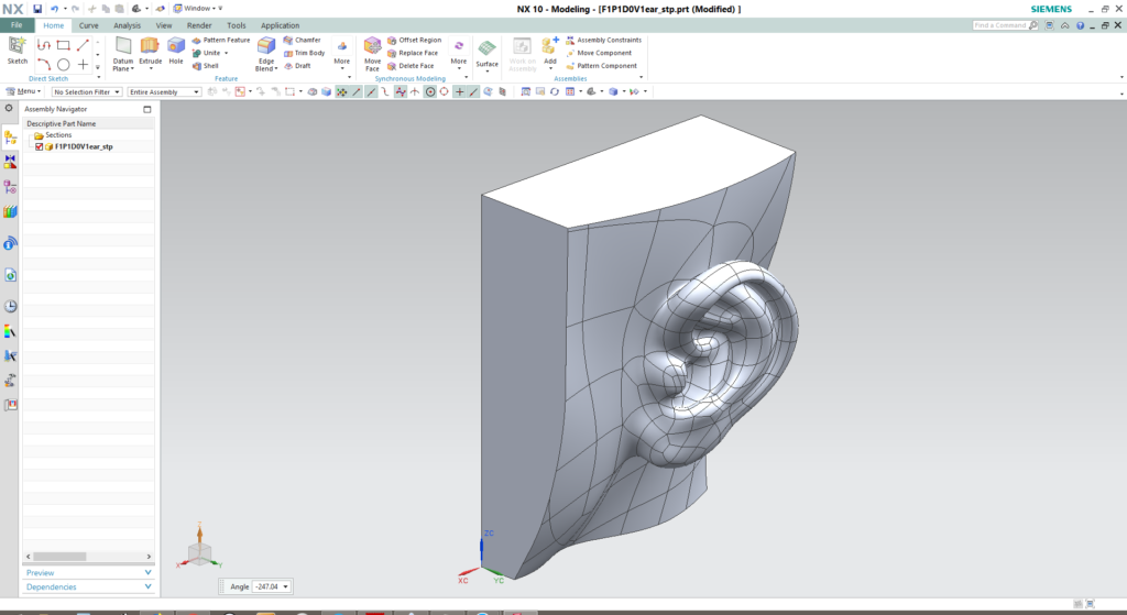 CAD-friendly Casual Woman Ear Model F1P1D0V1ear 3D Model - FlatPyramid