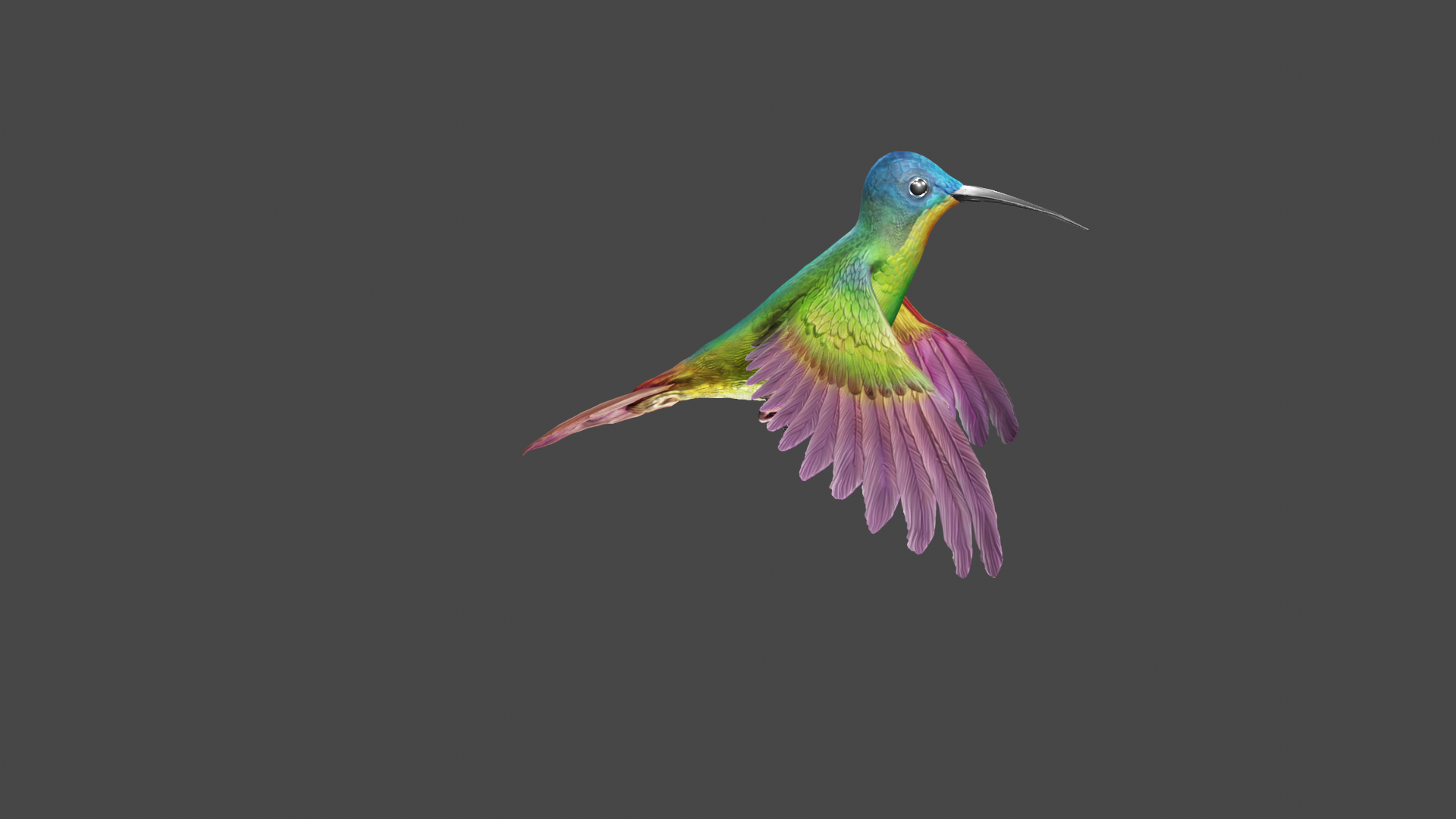FLYING HUMMING BIRD 3D Model - FlatPyramid