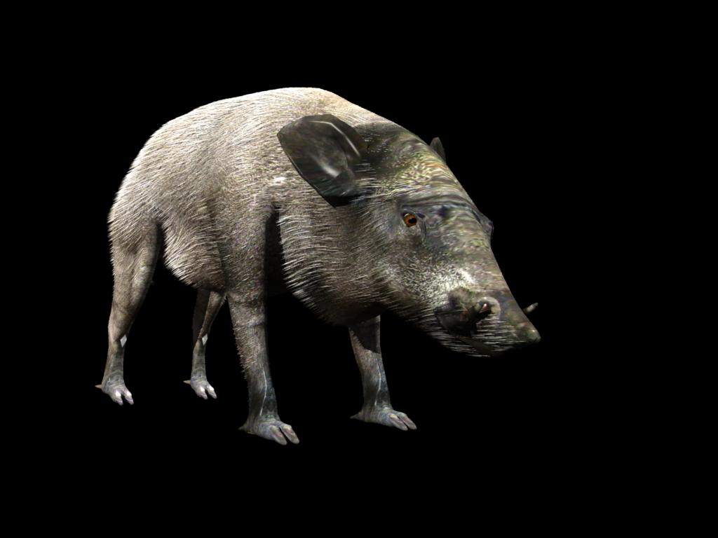 Wild boar 3D Model – Buy Wild boar 3D Model | FlatPyramid