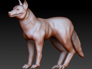 wolf zbrush 3D Model - FlatPyramid