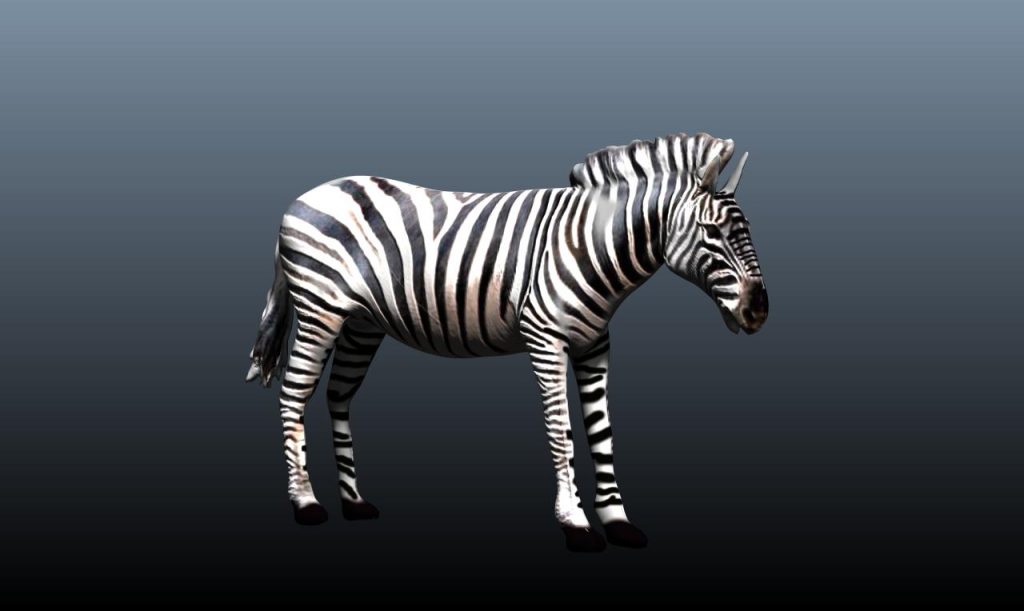 zebra v3 3D Model - FlatPyramid
