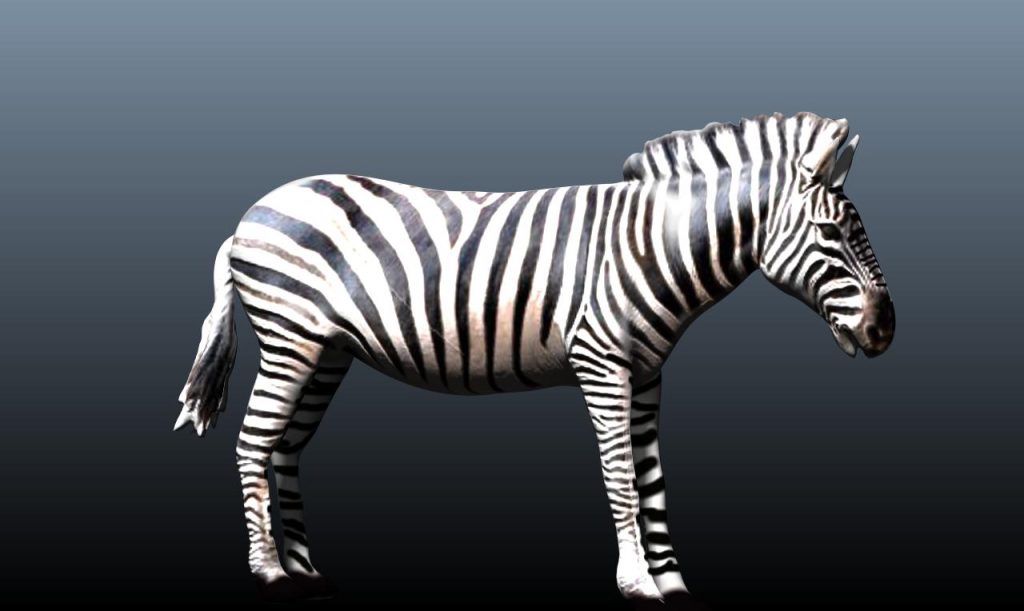 zebra v3 3D Model - FlatPyramid