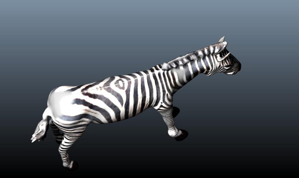 zebra v3 3D Model - FlatPyramid