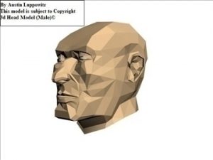3d Head Model (Male) 3D Model - FlatPyramid