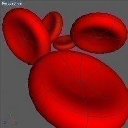 Red Blood Cell 3D Model on Flatpyramid