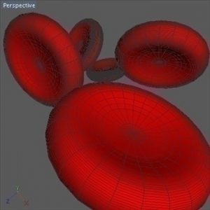 Red Blood Cell 3D Model on Flatpyramid