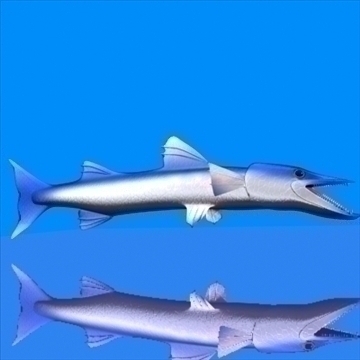 Killer Barracuda 3D Model - FlatPyramid