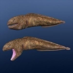 Moray Eel Animated 3D Model - FlatPyramid