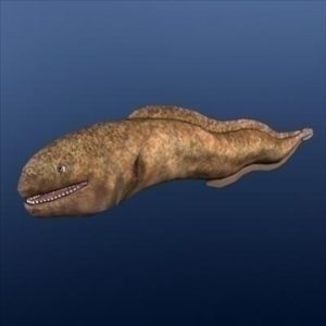 Moray Eel Animated 3D Model - FlatPyramid