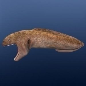Moray Eel Animated 3D Model - FlatPyramid