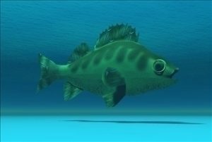 perch 3D Model - FlatPyramid