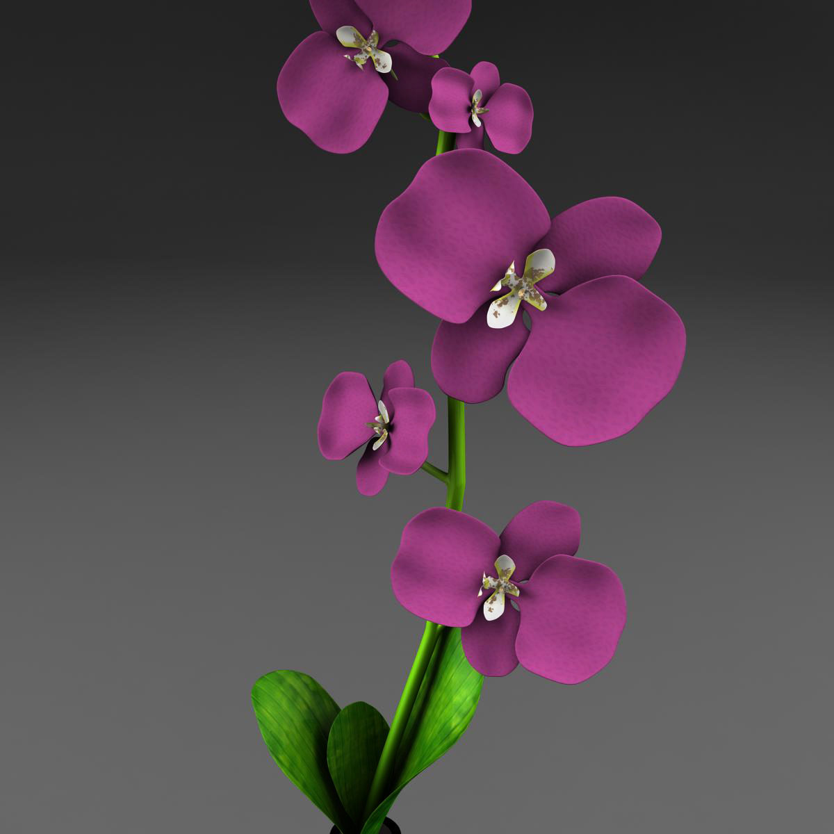 Flower base 3D Model | FlatPyramid