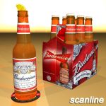 Budweiser Beer Collection. 3D Model - FlatPyramid