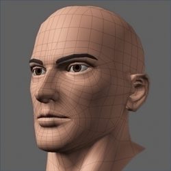 Hero Head 3D Model - FlatPyramid