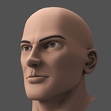 Hero Head 3D Model - FlatPyramid