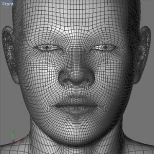 Li.zip 3D Model - FlatPyramid