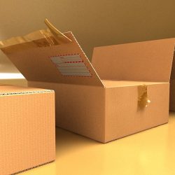 3D Model Cardboard Box with Tape & Mailing Label 3D Model - FlatPyramid