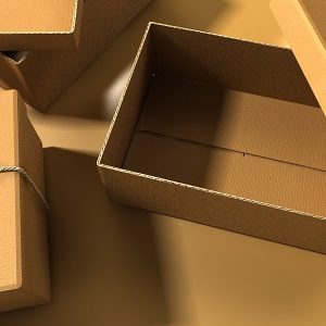 3D Model Photorealistic Cardboard Box & Rope 3D Model - FlatPyramid