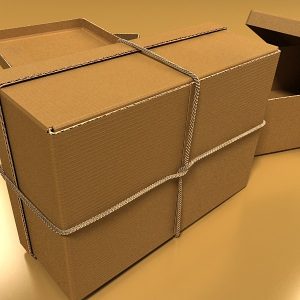 3D Model Photorealistic Cardboard Box & Rope 3D Model - FlatPyramid