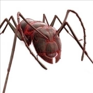 ant bug 3D Model - FlatPyramid