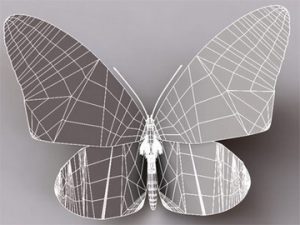 Monarch 3D Model - FlatPyramid