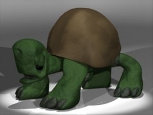 Box Turtle 3D Model - FlatPyramid