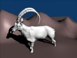 ibex 3D Model - FlatPyramid