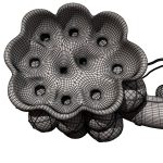 3D Model Alveoli Anatomy 3D Model - FlatPyramid