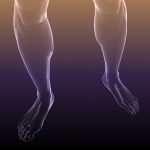 Male And Female Anatomy - transparent bodies 3D Model - FlatPyramid