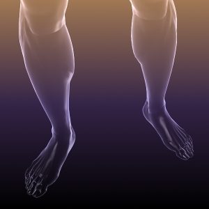 Male And Female Anatomy - transparent bodies 3D Model - FlatPyramid