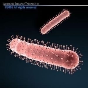 Avian flu virus 3D Model - FlatPyramid