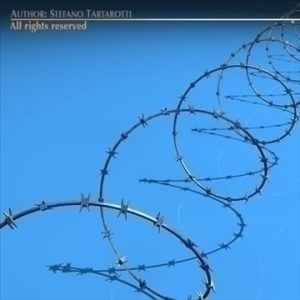Barbed wire 3D Model - FlatPyramid