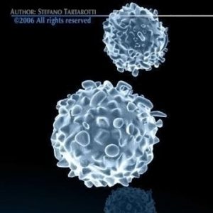 White blood cells 3D Model - FlatPyramid