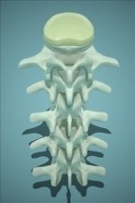 backbones 3D Model - FlatPyramid