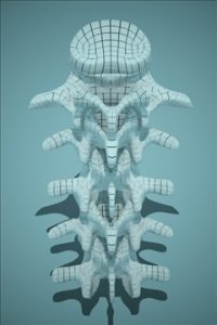 backbones 3D Model - FlatPyramid