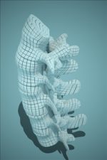 backbones 3D Model - FlatPyramid