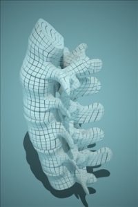 backbones 3D Model - FlatPyramid