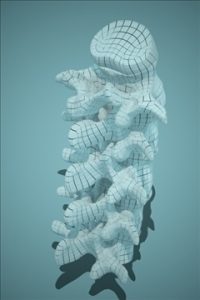 backbones 3D Model - FlatPyramid